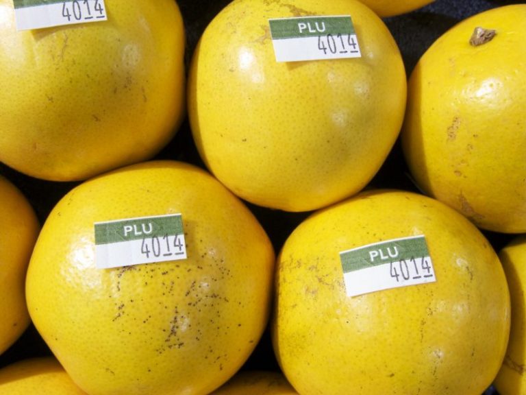 Before Buying Any Produce, You Should Know What These Stickers Mean