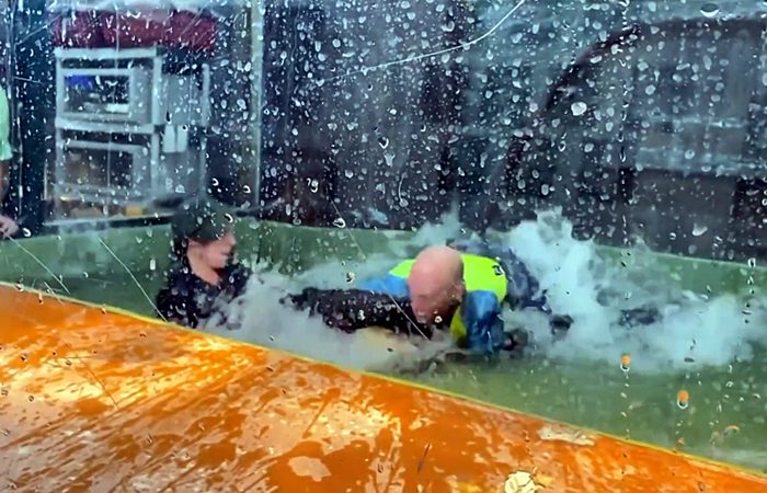 Hero Risks Life And Limb To Save Woman Pulled Into Alligator Enclosure
