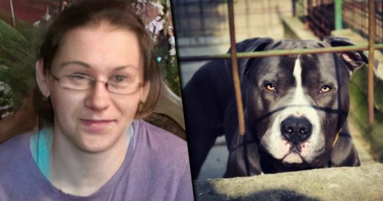 Animals • Tapworthy Happenings